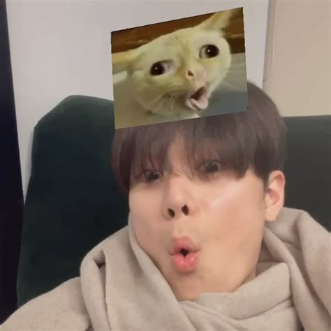 선 On Twitter 고양이 표정 따라하는 주연이 너무 귀여웤ㅋㅋㅋ♡