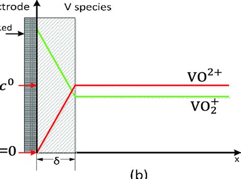 Concentration Profile In The Diffusion Layer In Front Of The Electrode Download Scientific