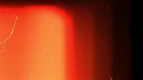 Hawk Tuah Blowjob Videos