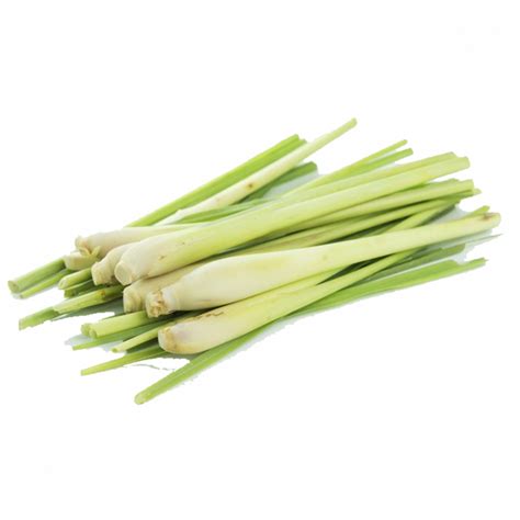 Lemongrass Patanicorp