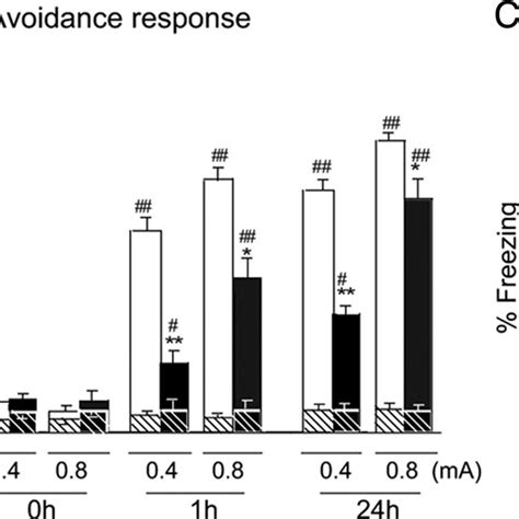 Performance In The Passive Avoidance Test And Fear Conditioning Are