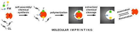 Processes Free Full Text Biosensing Applications Of Molecularly
