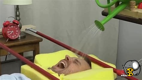 موثرترین و بهترین روش بیدار شدن از خواب فیلو