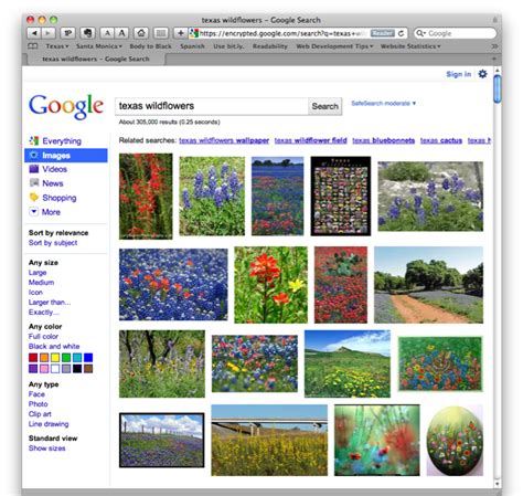 Search Google Images By COLOR By Christian Babece