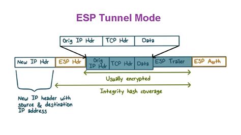 IPSec And TLS Lesson Introduction IPSec And The