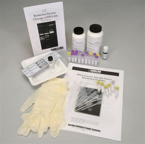 Restriction Enzyme And Dna Kit Bn Exp Vitta Scientific