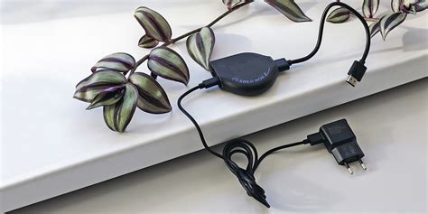 Приложение Chatgpt для Windows теперь доступно всем пользователям — Лайфхакер