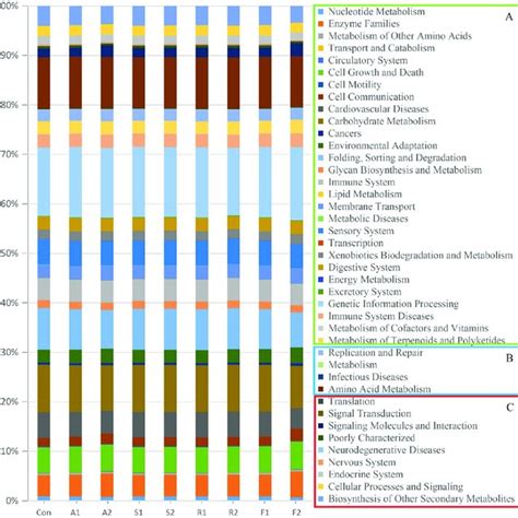 Kegg Categories Present In The Human Gut Microbiota The Kegg Pathways