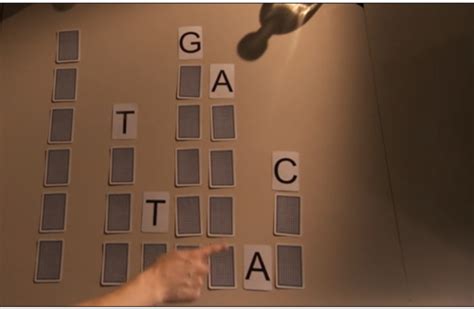 Dna Sequencing Flashcards Quizlet