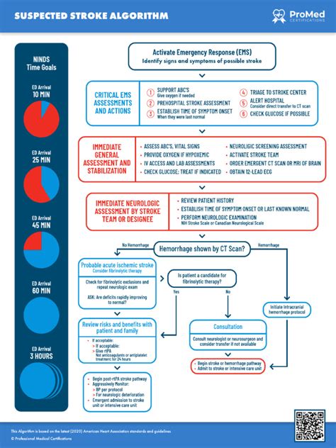 Algorithm Acls Suspected Stroke Pdf Algorithm Acls Suspected Stroke Pdf