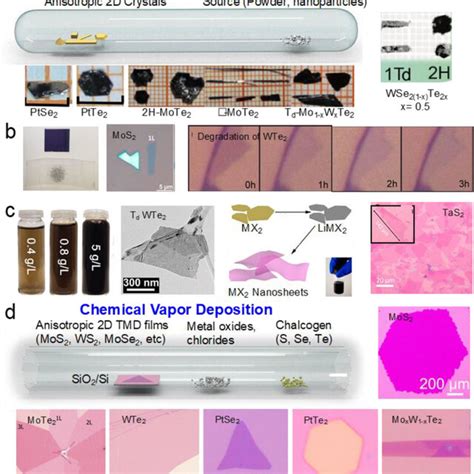 A Schematic Of Single Crystal Growth Of Tmdc By Pvt Cvt Method And
