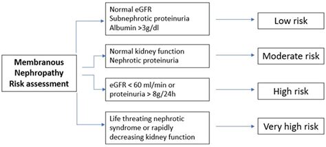 Different Treatments Of Membranous Nephropathy Encyclopedia Mdpi