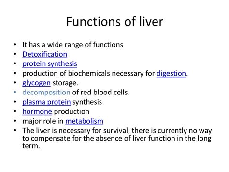 Functions Of Human Liver