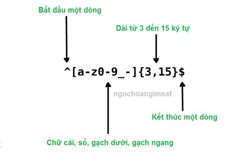 Hướng dẫn sử dụng biểu thức chính quy Regular Expression Regex Diễn