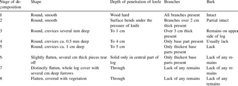 Decomposition Scale