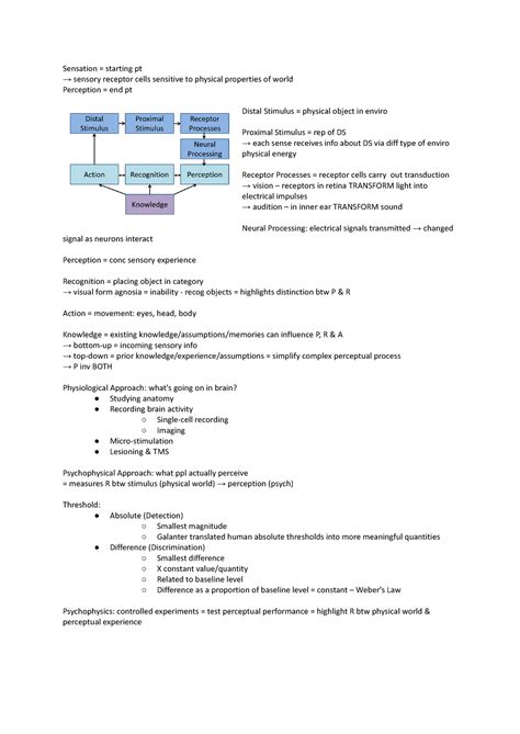1 intro summary of the first lecture sensation starting pt →