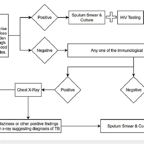 Flow Diagram Of Investigations Leading To The Diagnosis Of Latent Tb Download Scientific