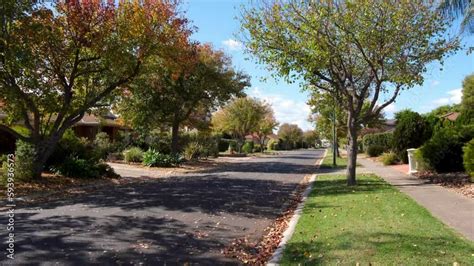 A Beautiful Tree Lined Neighborhood Street With Australian Suburban Houses Concept Of Real