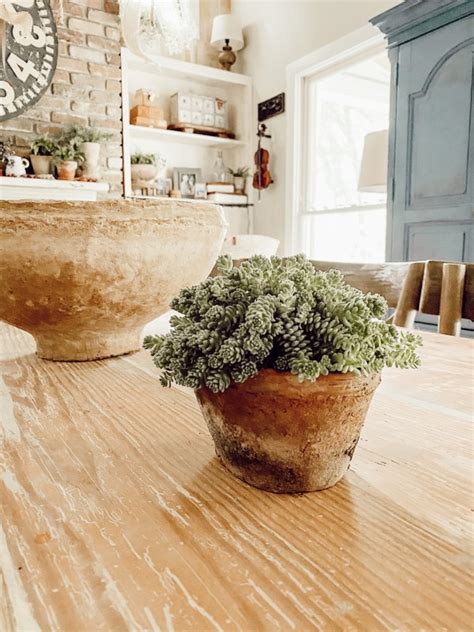 Sedum Container Gardens Cottage In The Oaks