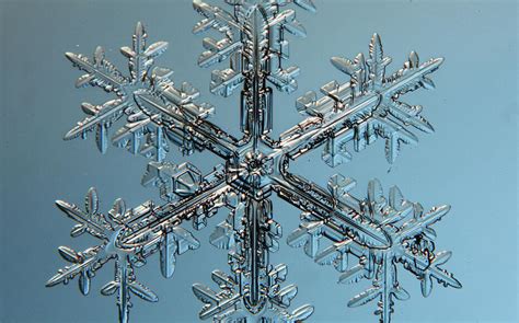 Le Flocon De Neige Un Miracle Géométrique Le Parisien