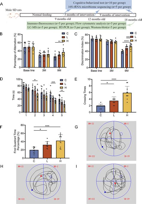 Long Term Atorvastatin Intervention Improves Cognitive Function In Download Scientific Diagram