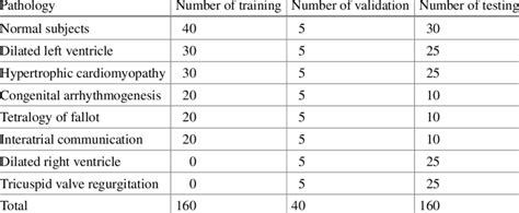 Description Of Training Validation And Testing Dataset Download Scientific Diagram