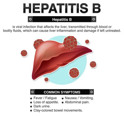 Hepatitis B Treatment Virus Treatment Of Hepatitis B