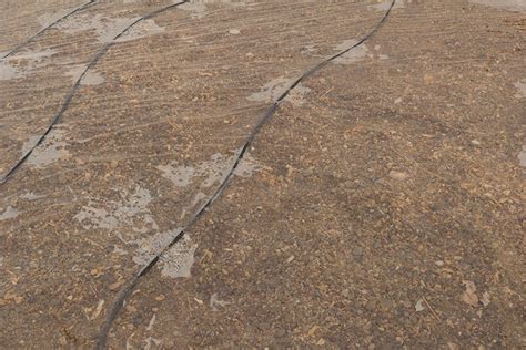 Soil Solarization How To Beat Back Weeds And Diseases Without Chemicals