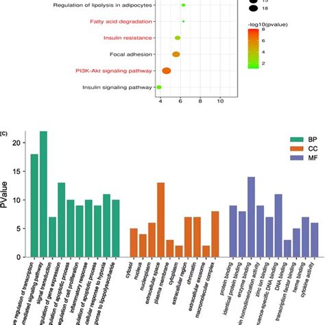 Enrichment Analyses Of Potential Targets A Go Enrichment Analyses Of