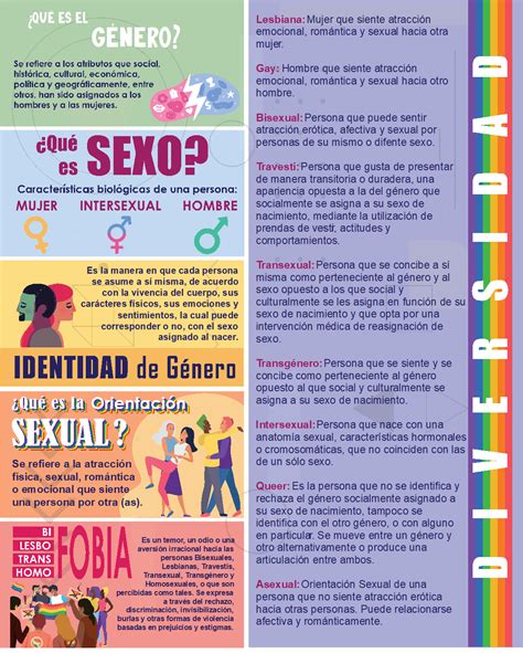 EducaciÓn Sexual Infografía Sobre La Sexualidad