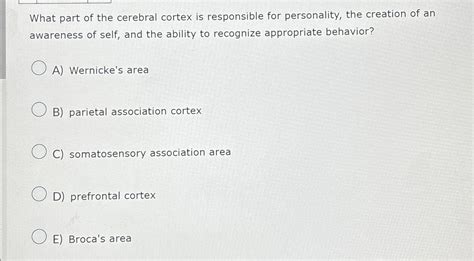 Solved What Part Of The Cerebral Cortex Is Responsible For Chegg Com