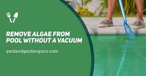How To Remove Algae From Pool Without A Vacuum