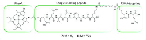 Structure Of Tri Modal Conjugates 7 And 8 Composed By Pheophorbide A Download Scientific