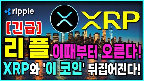 리플 스텔라루멘 코인 전망⭐xrp와 이코인 난리난다 준비하세요 이때부터 오른다 리플 리플전망 리플코인 스텔라루멘