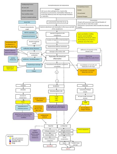 Cap Mr Finished Pdf Pneumonia Lung