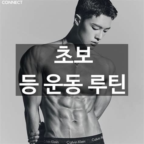 초보자 헬스 루틴 등 운동순서 헬스장 운동 순서 네이버 블로그