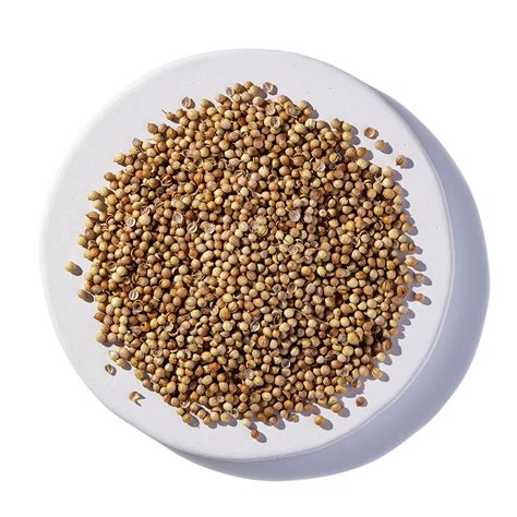 Organic Coriander Seed Starwest Botanicals