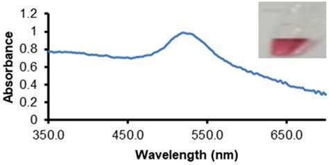The Absorption Spectra Of Gnp Inset The Red Solution Of Prepared Gnp
