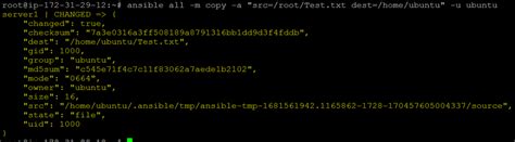 Ad Hoc Commands In Ansible Simplifying Configuration Management
