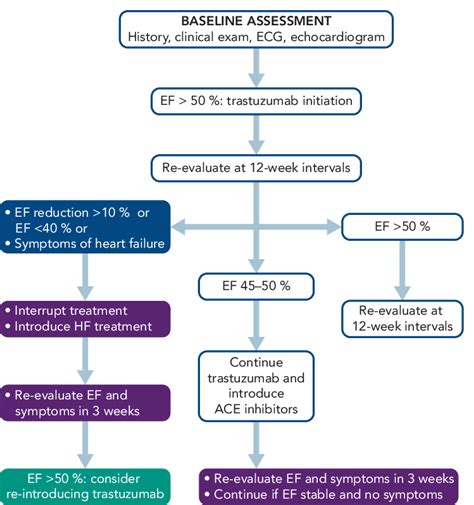 Proposed Follow Up Algorithm For Patients Receiving Trastuzumab
