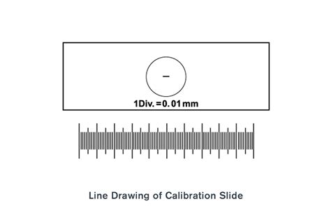 Microscope Calibration Slide Celestron