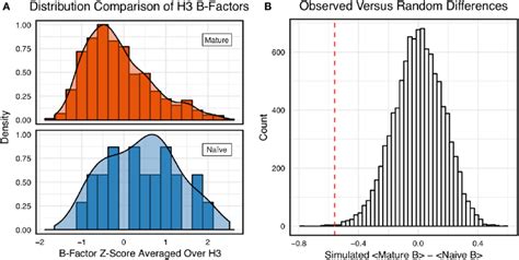Comparison Of The Distribution Of Average Cdr H3 Loop B Factor