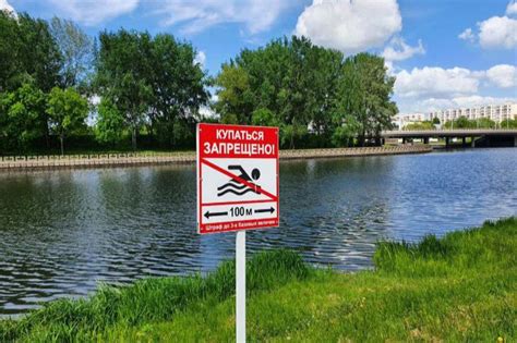 На каких пляжах в Беларуси запрещено или ограничено купание новости беларусь купание пляж