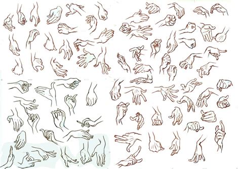Hand Drawing Reference