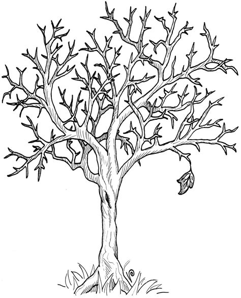 Tree Coloring ClipArt Best