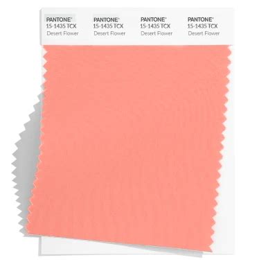 Pantone® Usa Pantone® Fashion Color Trend Report New York Fashion