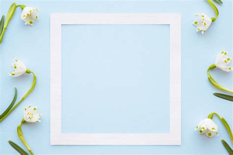 밝은 파스텔 파란색 배경에 녹색 잎이 있는 신선 하 고 아름 다운 눈 방울 봄의 첫 메신저 흰색 프레임에 영감 감정 감상적인 텍스트 따옴표 또는 격언을 위한 빈 장소 0명에