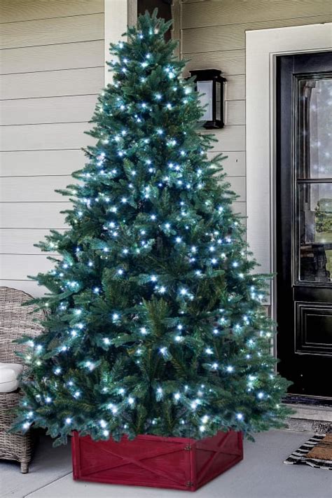 5 Outdoor Christmas Trees Youll Love This Festive Season