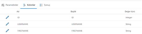 Form Üzerindeki Execute Query yi Kullanmak Bimser