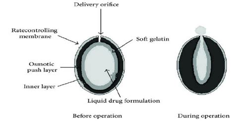 Bilayer Tablets An Emerging Drug Delivery System Ijppr